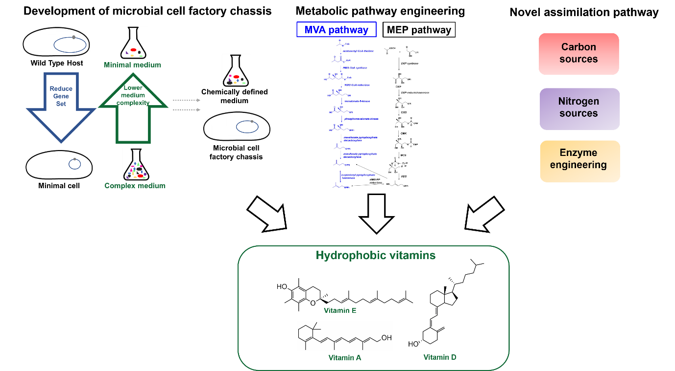 Research: Microbial Biosynthesis – DiSTAP
